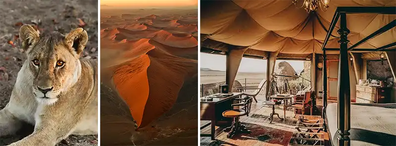10 Best Hotels & Lodges in Namibia [2024]